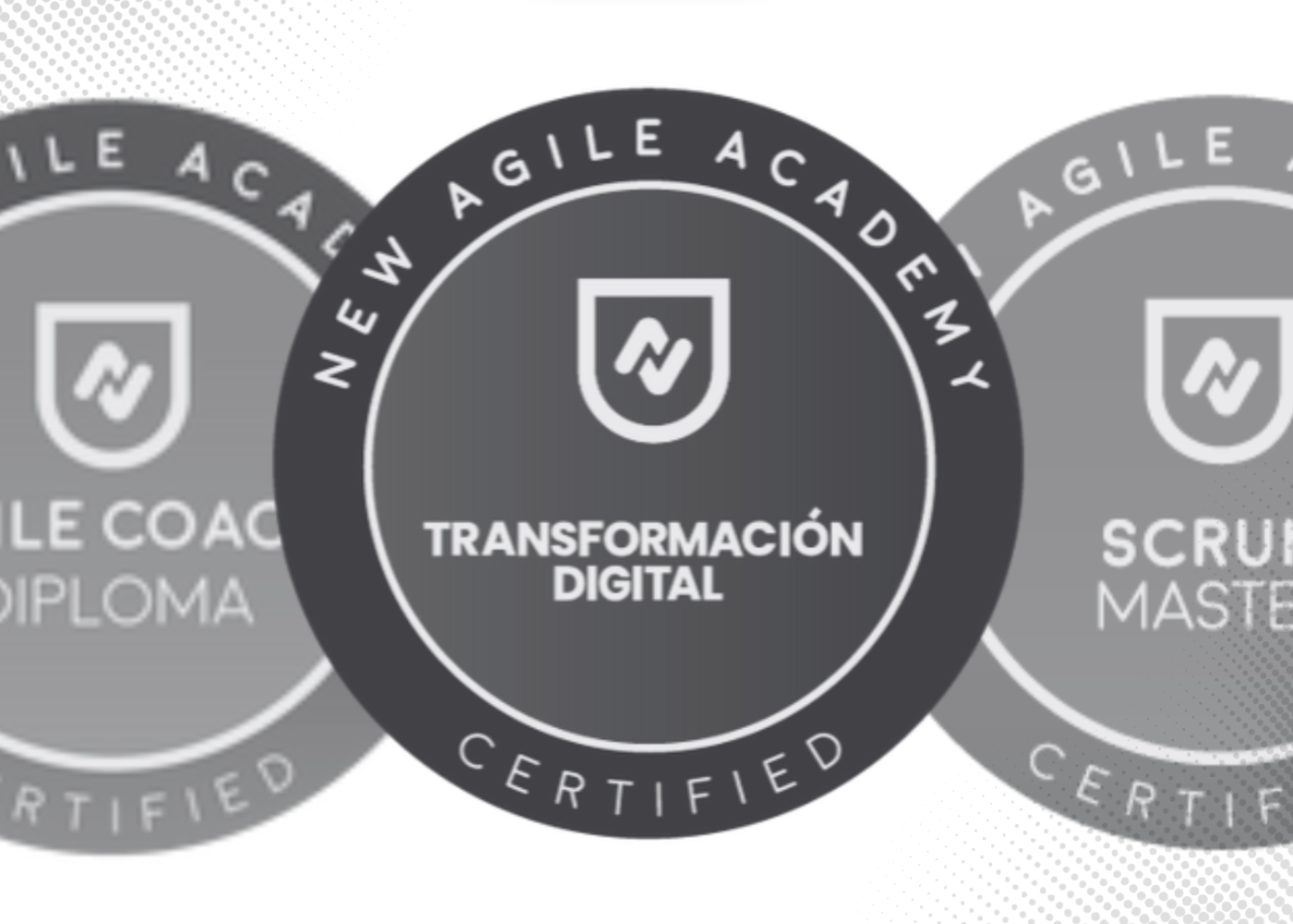 Partners - New Agile Academy